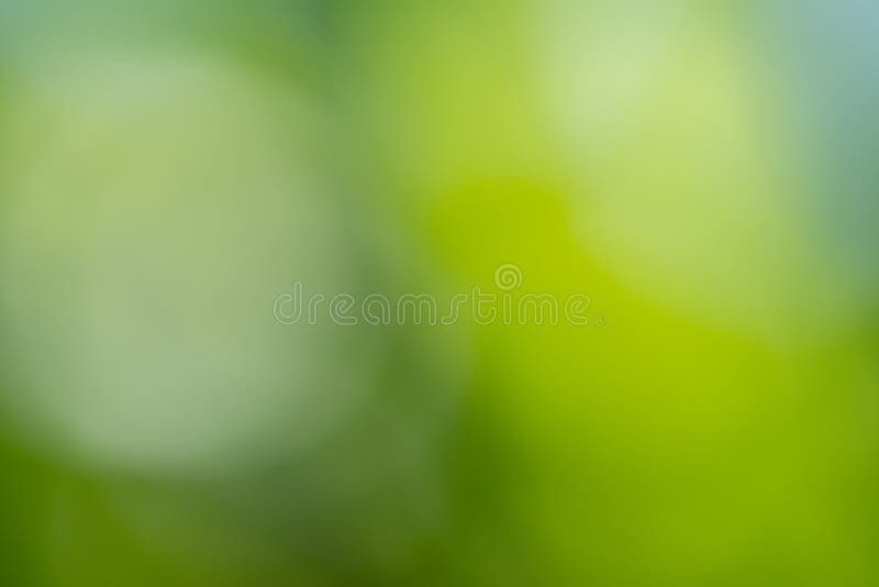 Natural Bright Green Gradient Background Stock Photo - Image of outdoor ...