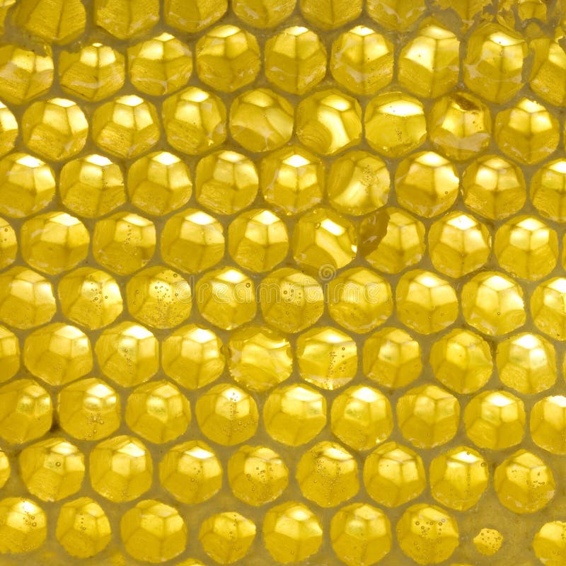 Bright Yellow Honey Comb Texture Macro Closeup Stock Image - Image of ...