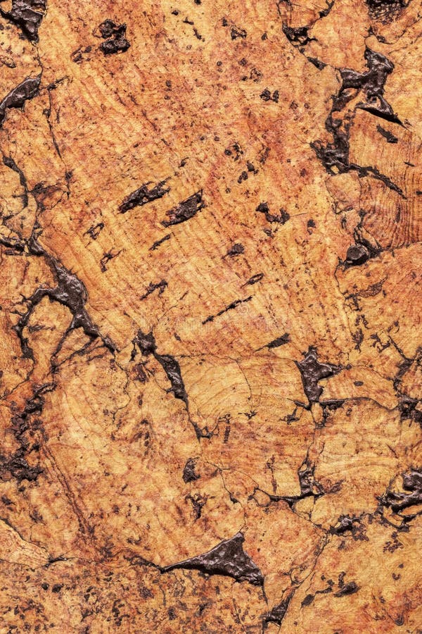 Natural Brown Cork Tile Grunge Texture Stock Image - Image of ...