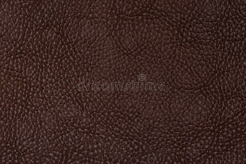 Natural Brown Leather Texture. Stock Image - Image of pattern, luxury ...
