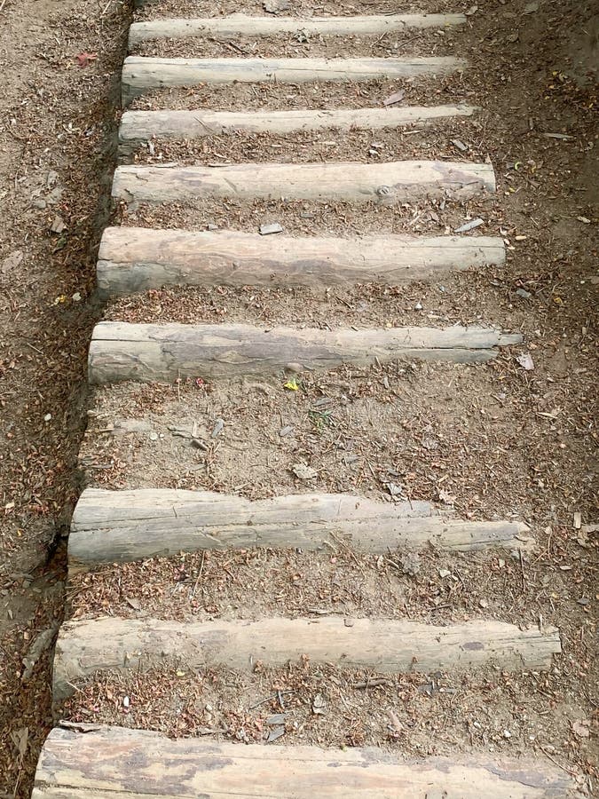 Zen garden path stock photo. Image of still, garden, lines - 10621270