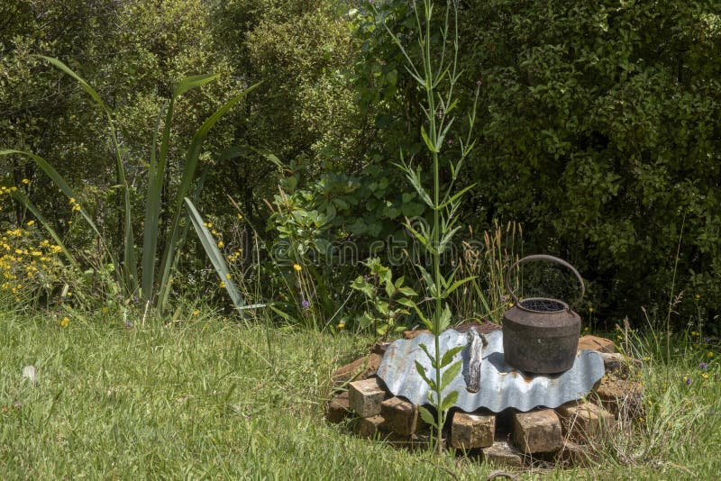 Natural Campfire Setting in Open Field Stock Photo - Image of kettle ...