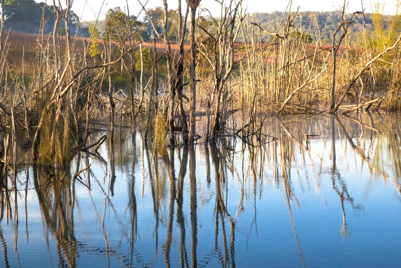 The Natural of Canal Reflected in the Water Stock Image - Image of lake ...