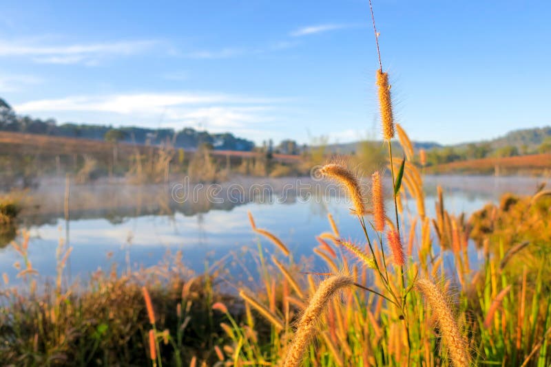 The Natural of Canal Reflected in the Water Stock Photo - Image of ...