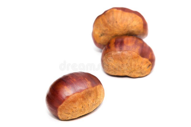 Natural chestnuts isolated stock photo. Image of group - 141777550