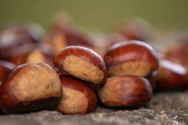Natural Chestnuts Stacked Outdoors Stock Image - Image of group ...
