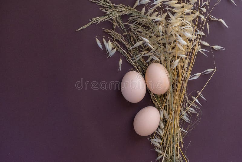 Natural Chicken Eggs in Beige Color and Straw. Stock Image - Image of ...