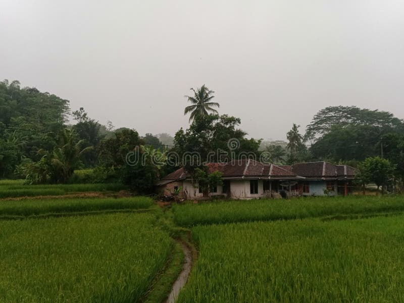 Natural Chill Atmosphere in Hometown Stock Photo - Image of natural ...