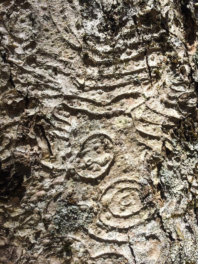 Natural Circle Patterns stock photo. Image of pattern - 71198916