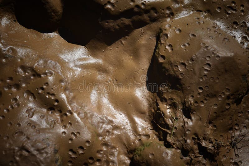 Natural Clay Texture Background. Mud Clay Texture Stock Image - Image ...