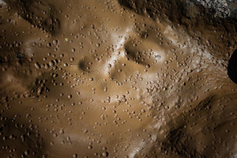 Natural Clay Texture Background. Mud Clay Texture Stock Photo - Image ...