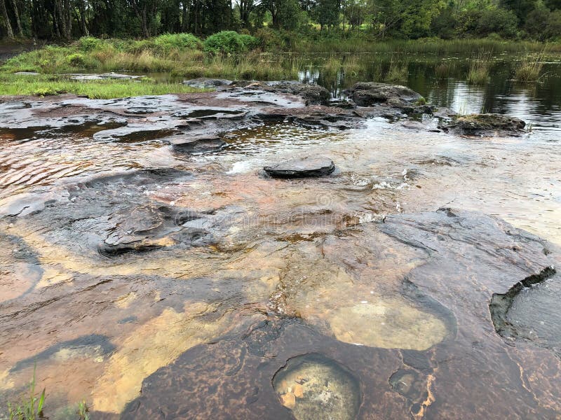 Natural Clean Water Way in the Green Forest Stock Image - Image of ...