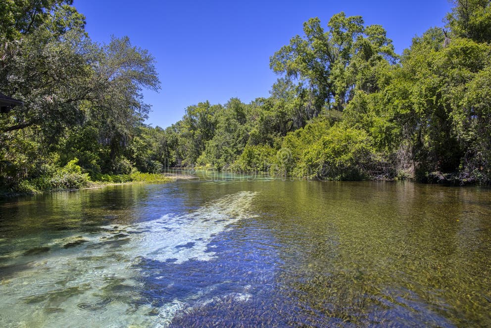 Natural, Clear, Spring Water River Stock Photo - Image of environment ...