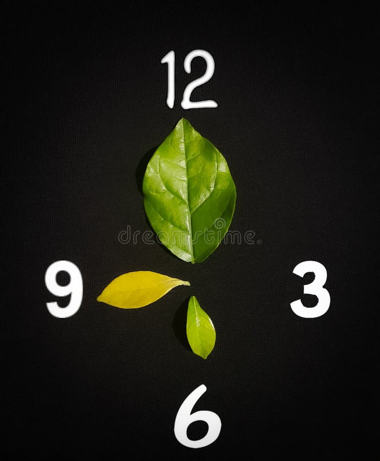 Natural clock stock photo. Image of panorama, clocks, good - 1620960