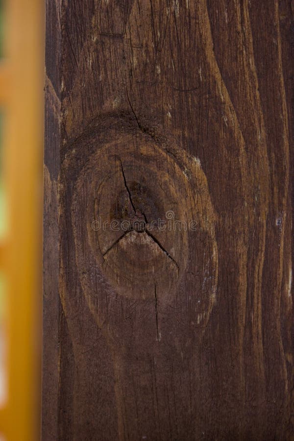 Natural Close-up Texture of a Tree Stock Image - Image of ring, grungy ...