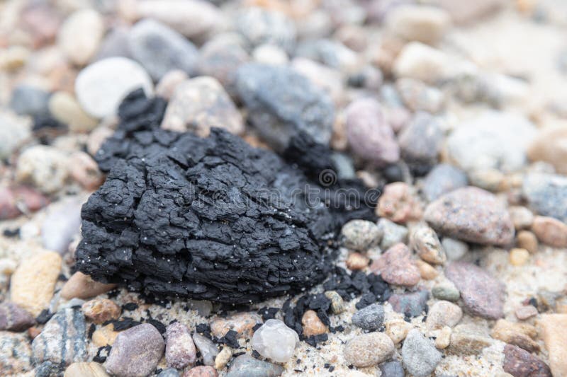 Natural Coal Pieces in a Bornholm Beach - Coal Geology Stock Image ...