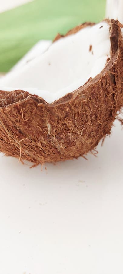 Natural Coconut Fruit Shell Texture Stock Photo - Image of texture ...