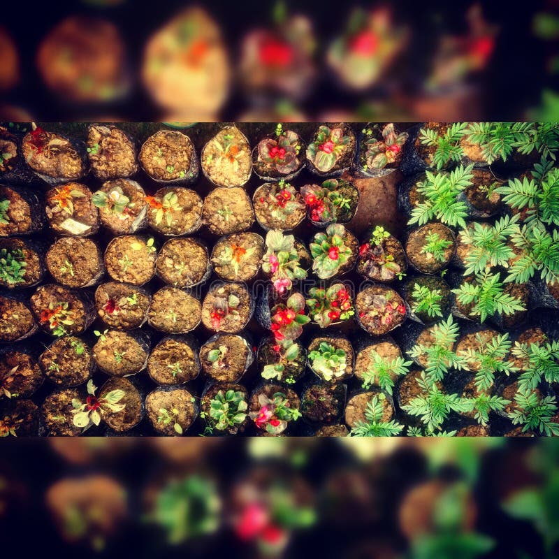 Natural collage stock image. Image of natural, energy - 83750823