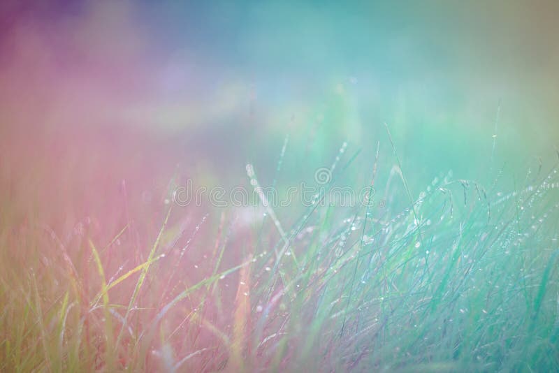 Natural Color Fantasy with Grass Stock Photo - Image of abstract ...