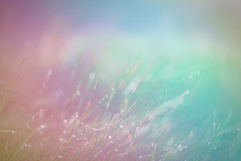Natural Color Fantasy with Grass Stock Photo - Image of abstract ...