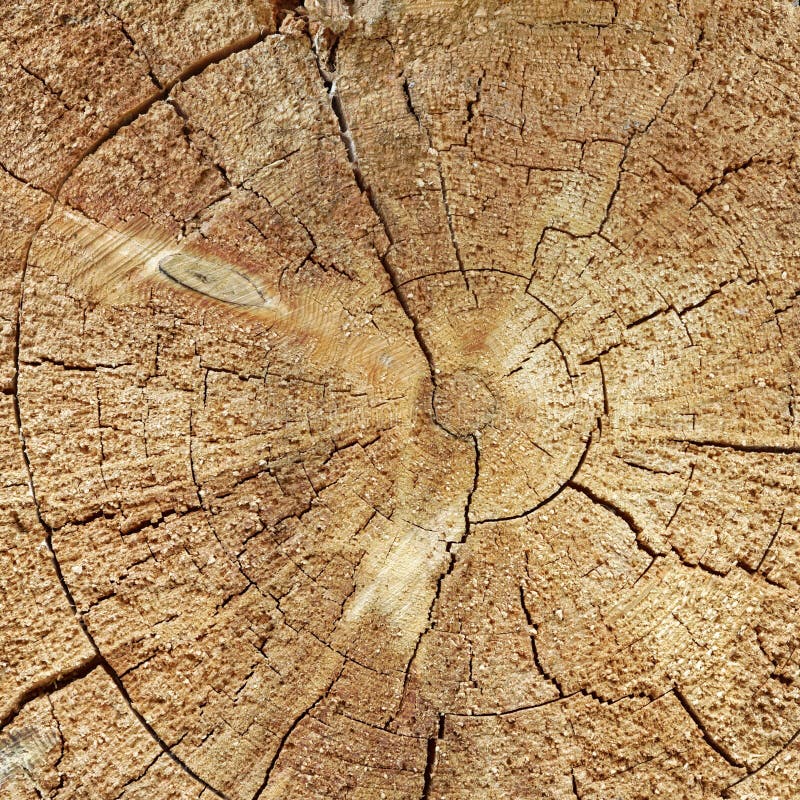 Natural Color Old Wood Grain Log Square Frame Texture Close-Up Stock ...