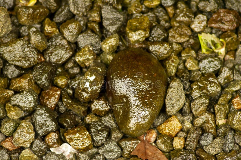 Natural Color of Volcanic Rocks from Mount Merapi in Yogyakarta ... Natural Color of Volcanic Rocks from Mount Merapi in Yogyakarta ...