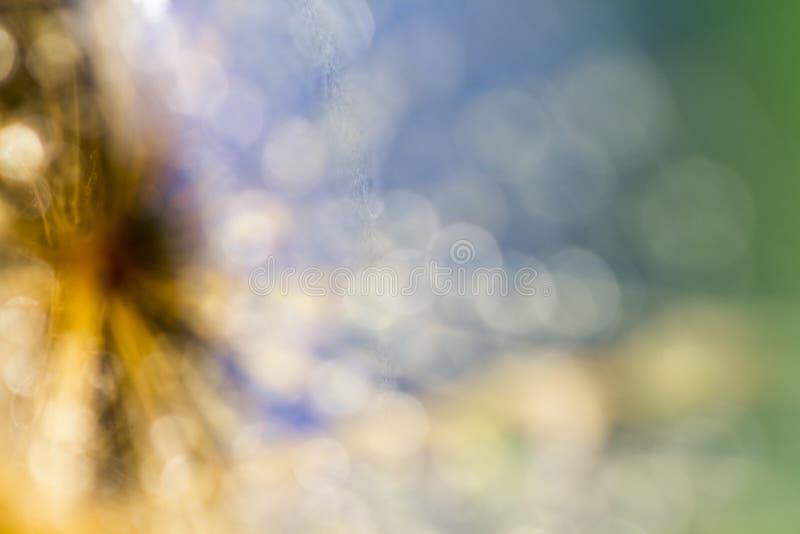 Natural, Colored Abstract Background Stock Image - Image of focus ...