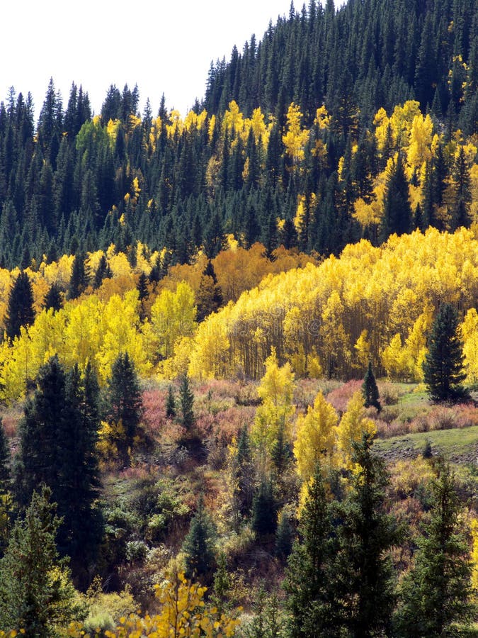 Natural Colors stock photo. Image of trees, fall, rocky - 17405994