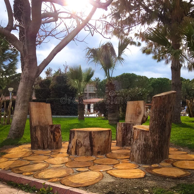 Natural Comfort editorial stock photo. Image of nature - 50904678