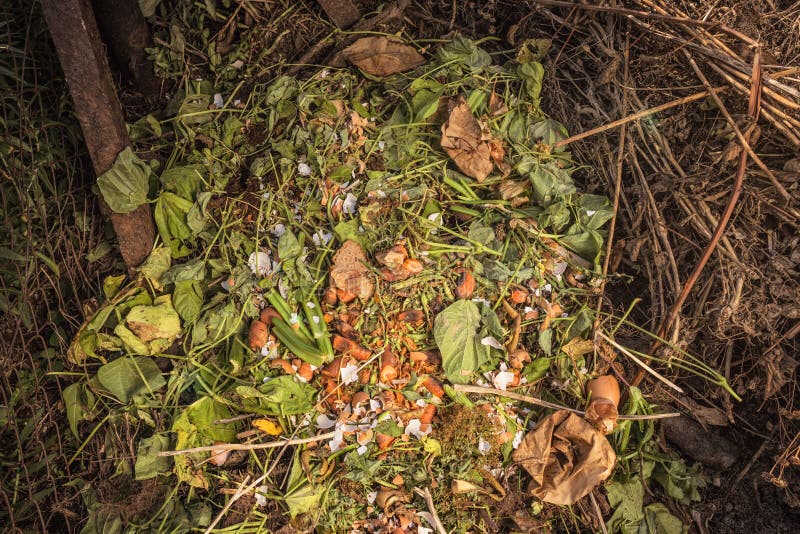 Natural Compost Top-view stock photo. Image of fertilizer - 97244734