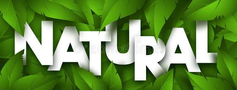 Natural Concept Banner with Lush Green Foliage Stock Vector ...