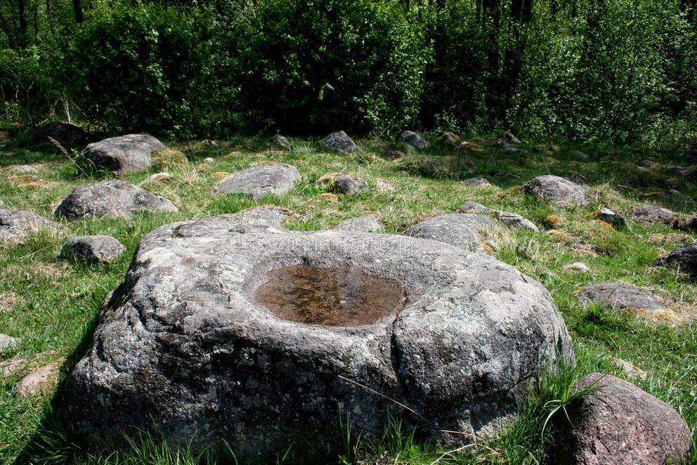 Natural container stock image. Image of container, scenery - 29732133