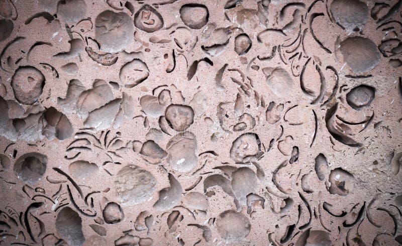 Coquina Shell Rock Texture with Vignette. Background, Geological. Stock ...