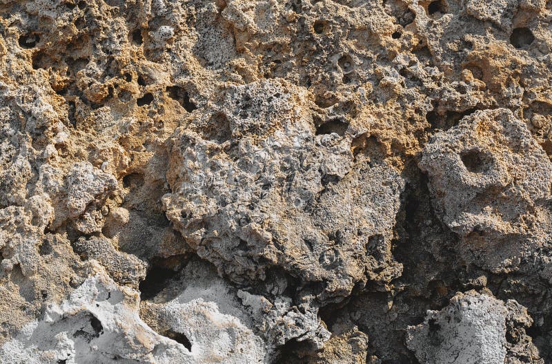 Shell rock texture stock photo. Image of nature, macro - 138643774