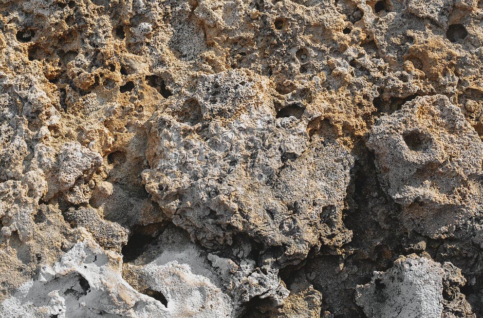 Shell rock texture stock photo. Image of nature, macro - 138643774