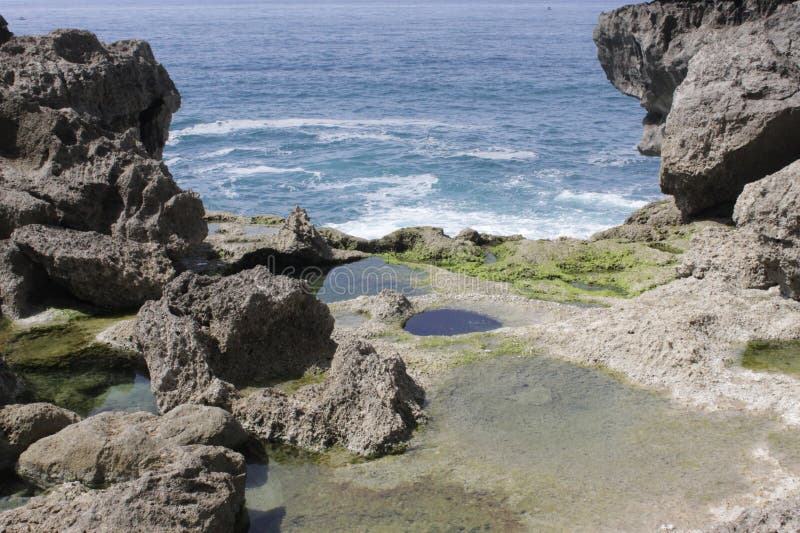 Natural Coral on Sea Cliffs Stock Image - Image of geology, coast ...