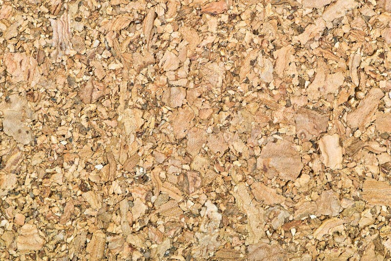 Cork board texture stock photo. Image of remember, flat - 11061376