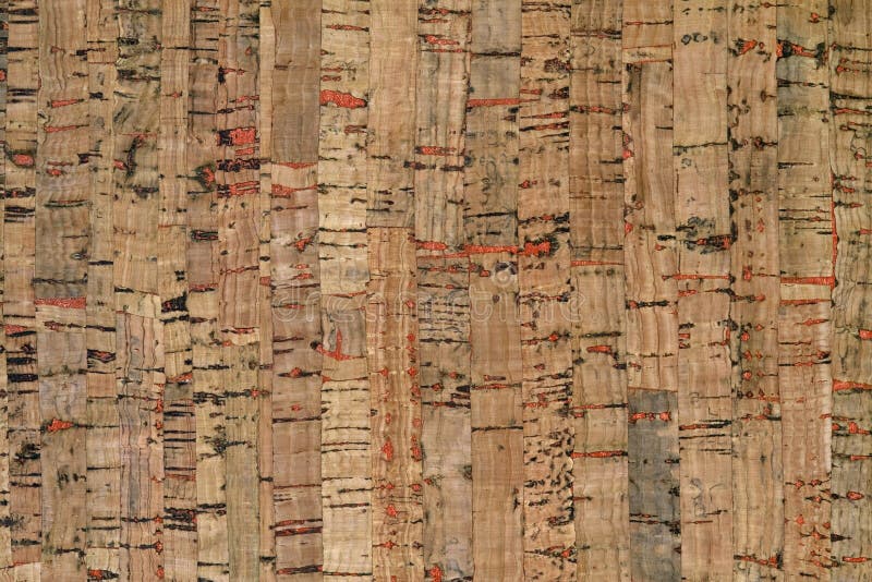Natural cork texture. stock photo. Image of close, effect - 12933764