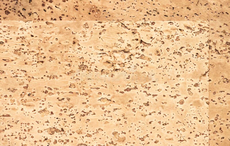 Natural Cork Texture. Close-up View. Pressed Cork. Changed Color Scheme ...