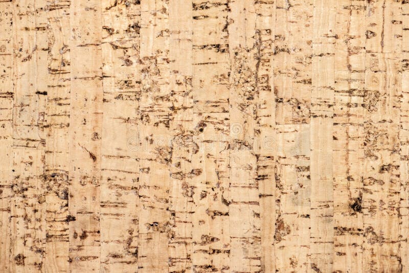 Natural Cork Board Texture and Europe Map. Minimalism Style Stock Photo ...