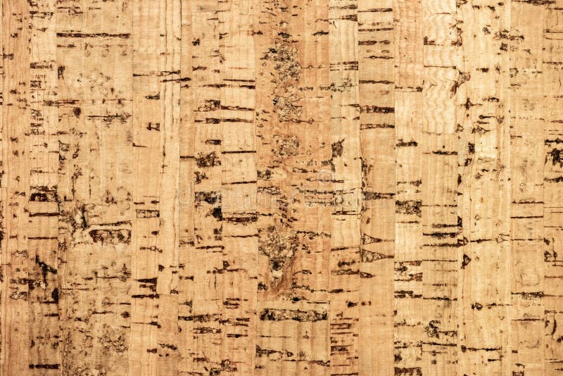309 Natural Cork Sheet Texture Stock Photos - Free & Royalty-Free Stock ...