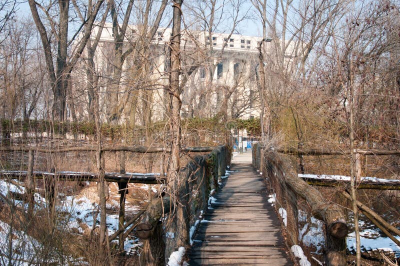 Natural corner in the city editorial photography. Image of plant - 50248447