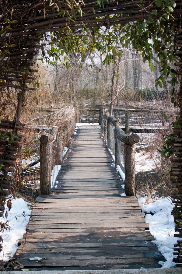 Natural corner in the city stock photo. Image of visit - 50560218