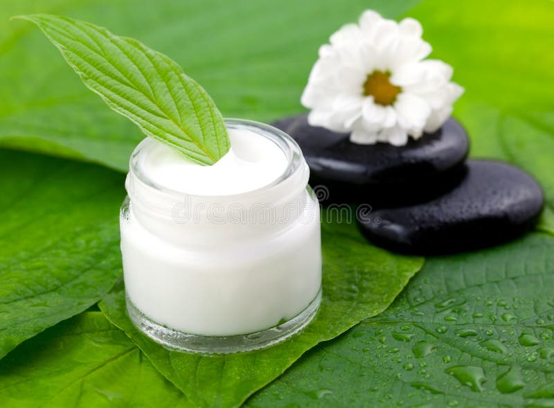 Natural cosmetic stock image. Image of cosmetic, wellness - 16065929