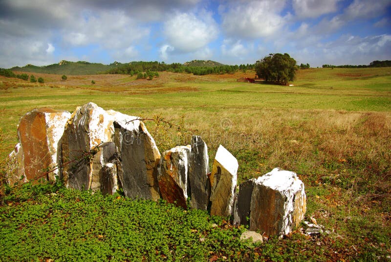 Natural Countryside stock photo. Image of flower, clouds - 16833212