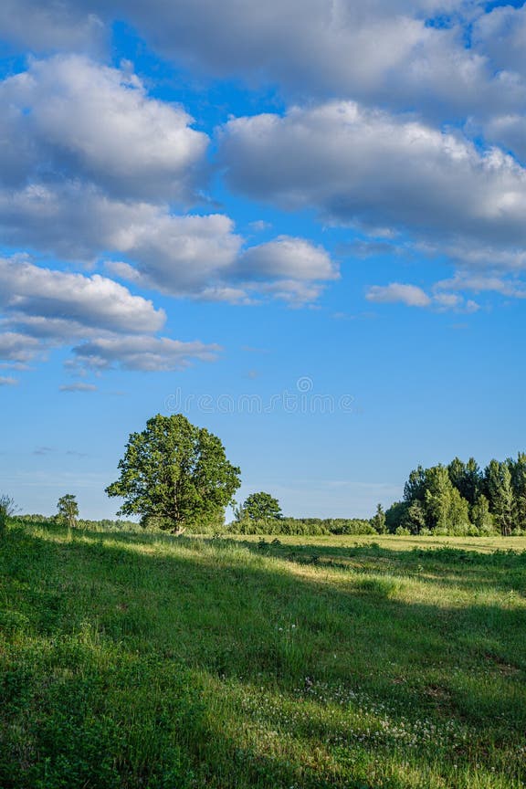 Natural Countryside View in Summer Evening Stock Image - Image of ...