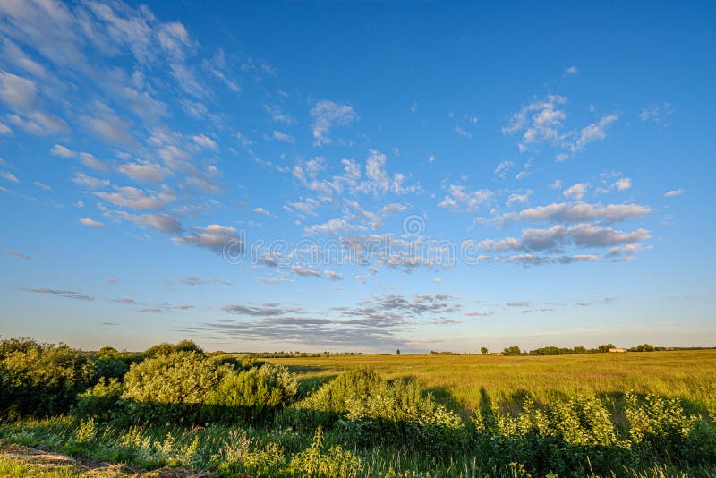 Natural Countryside View in Summer Evening Stock Photo - Image of ...