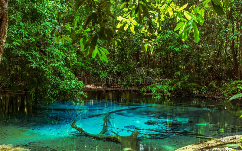 Natural Crystal Blue Water, Emerald Pool Stock Photo - Image of love ...
