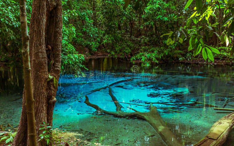 Natural Crystal Blue Water, Emerald Pool Stock Image - Image of ...