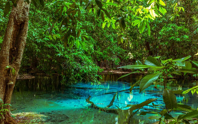 Natural Crystal Blue Water, Emerald Pool Stock Photo - Image of ...